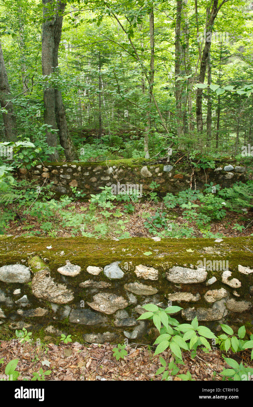 Logging era hi-res stock photography and images - Alamy