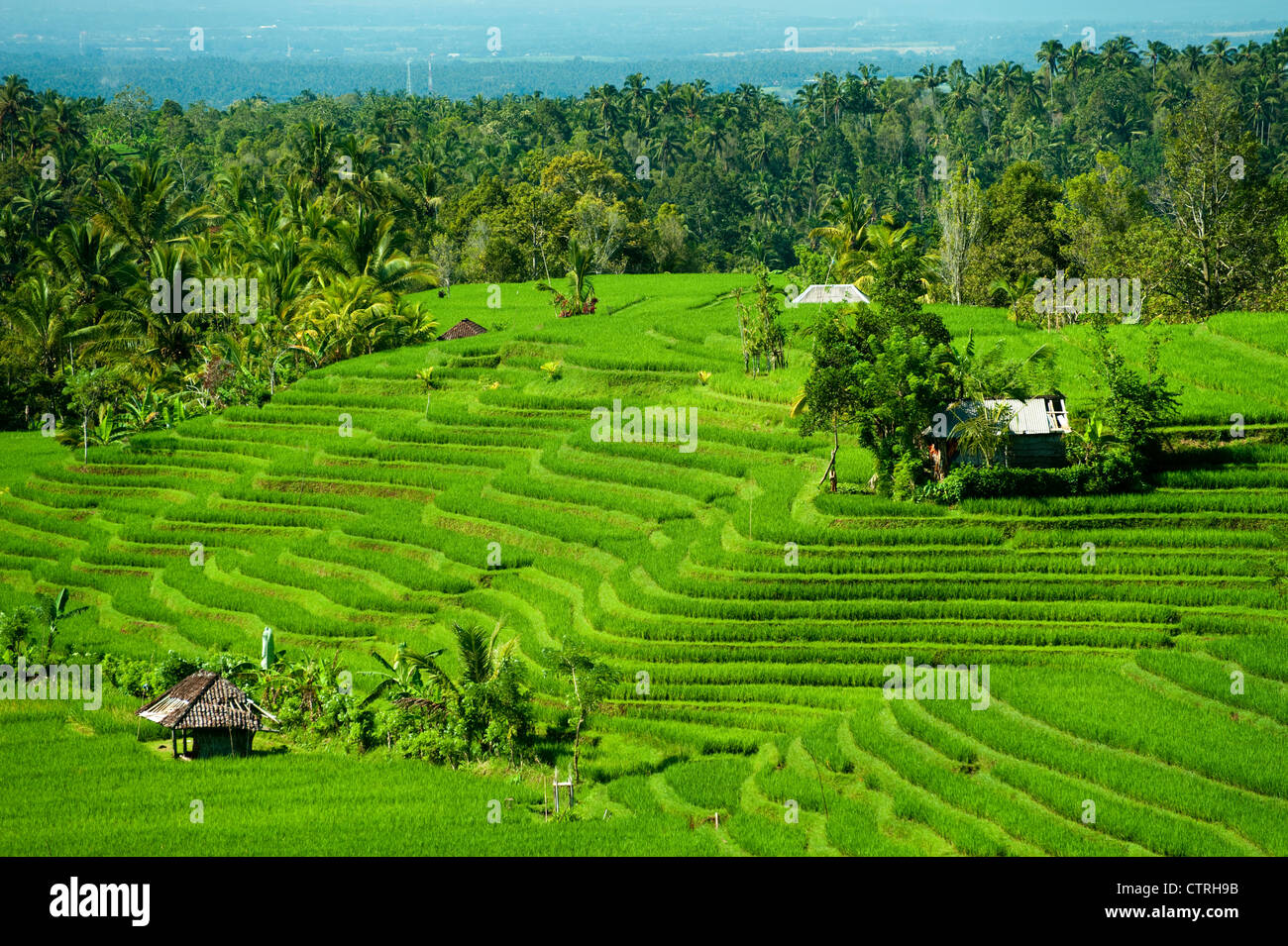 Belimbing, Bali is where you can see some of the most spectacular ...