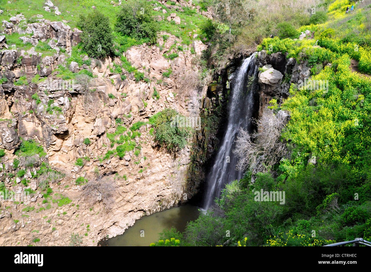 Waterfall in golan heights israel hi-res stock photography and images ...