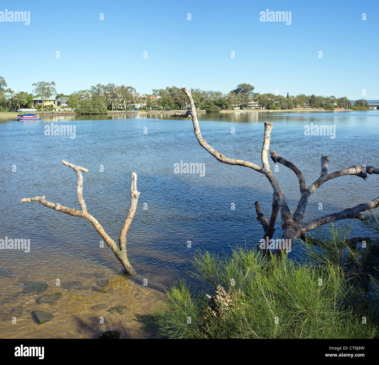 Maroochy river hi-res stock photography and images - Alamy