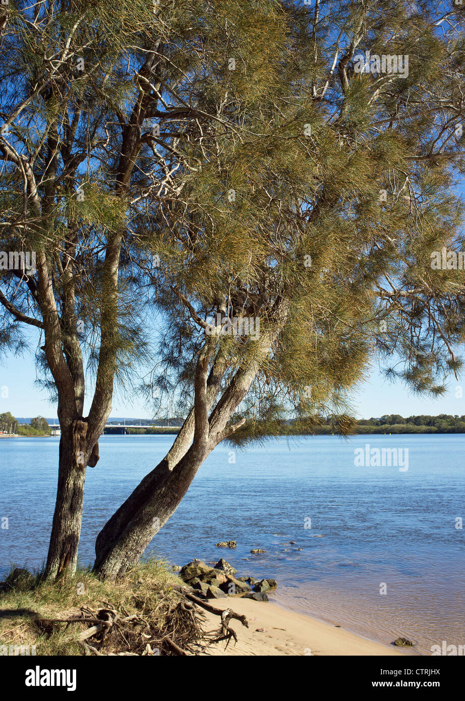 The Maroochy River in Queensland Stock Photo - Alamy