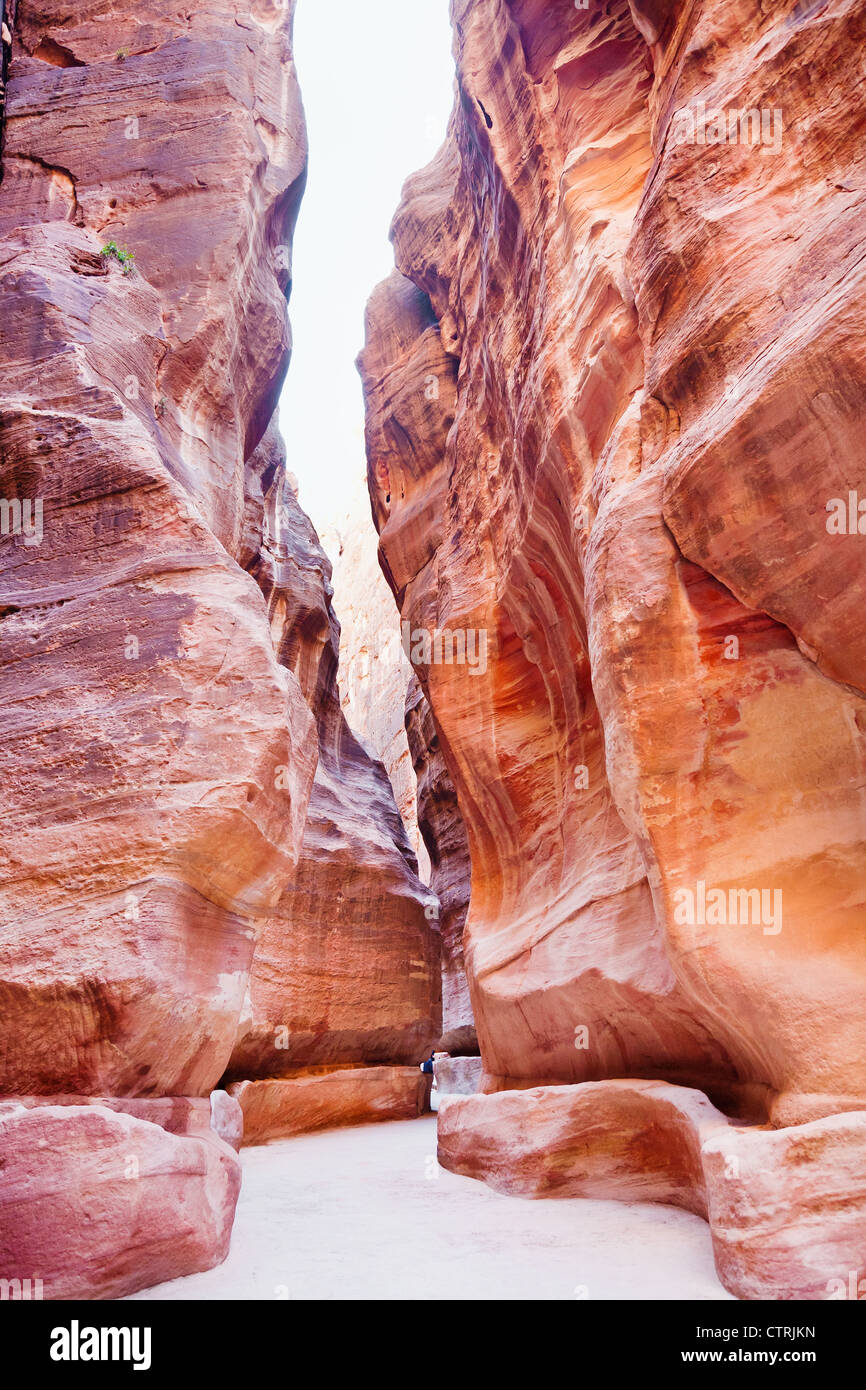 The Siq - narrow gorge to ancient city Petra, Jordan Stock Photo - Alamy
