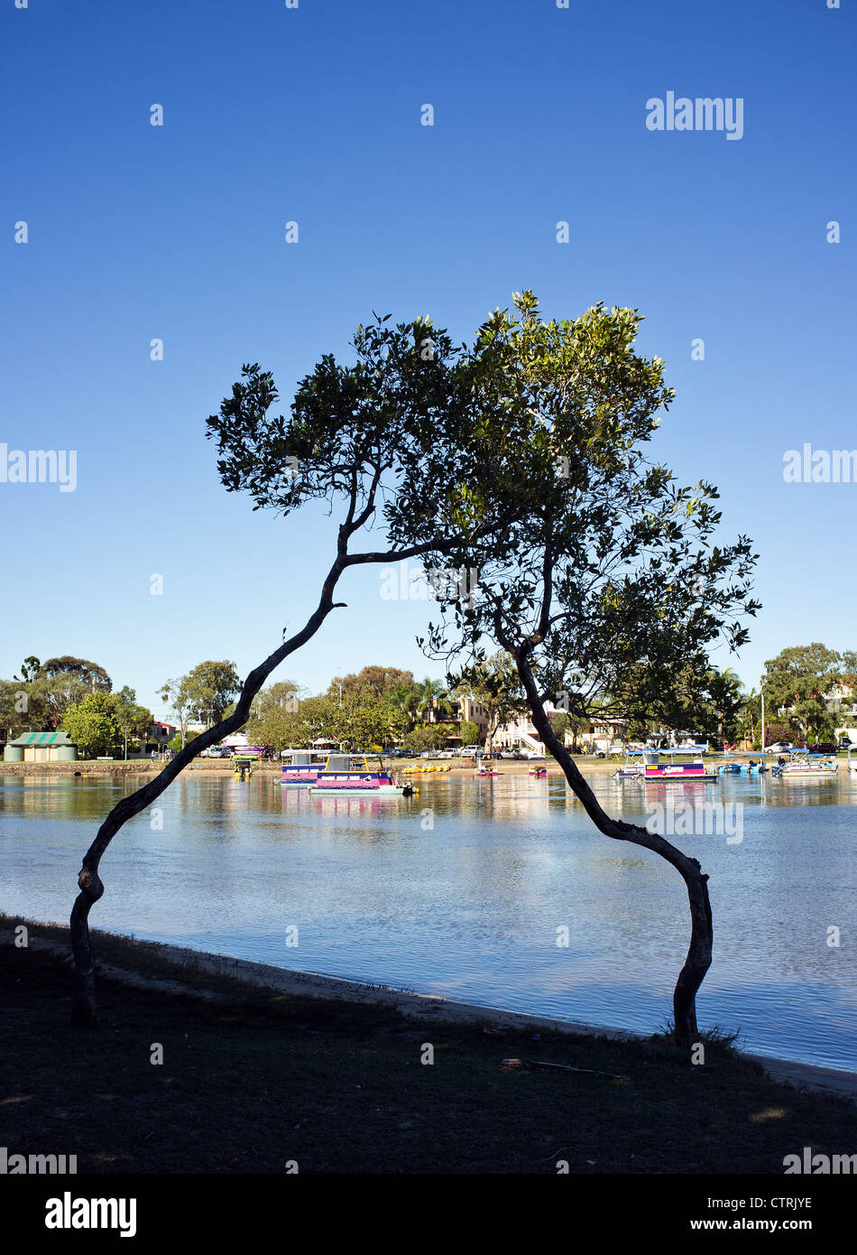 The Maroochy River in Queensland Stock Photo - Alamy