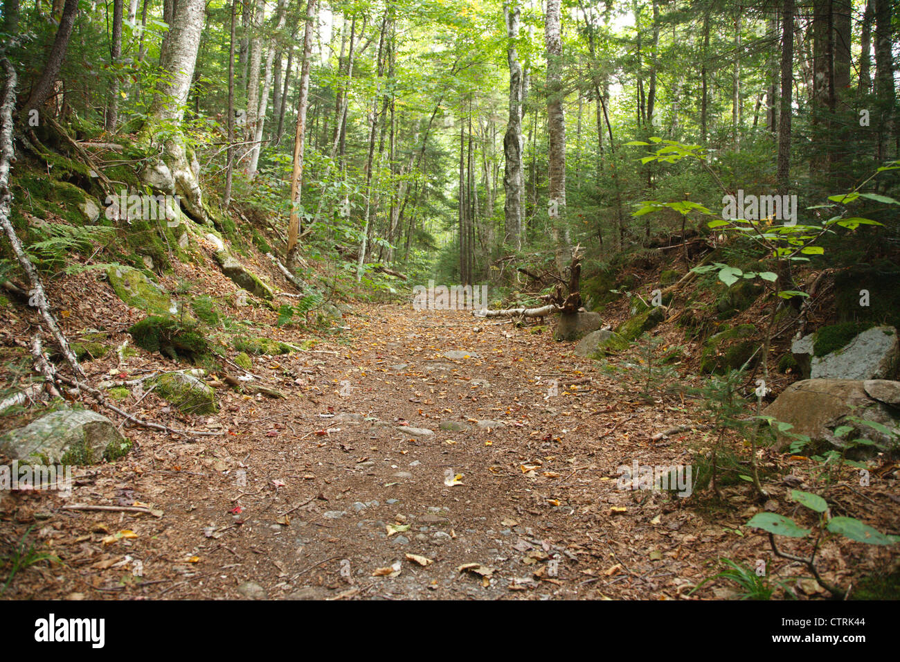 Pemigewasset Wilderness White Mountain National Forest, New Hampshire ...