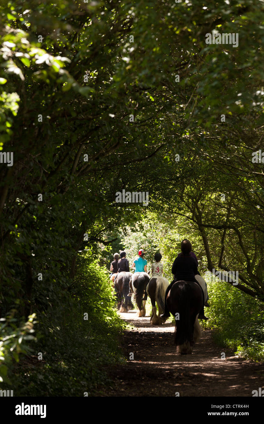 Riding horse countryside england hi-res stock photography and images ...