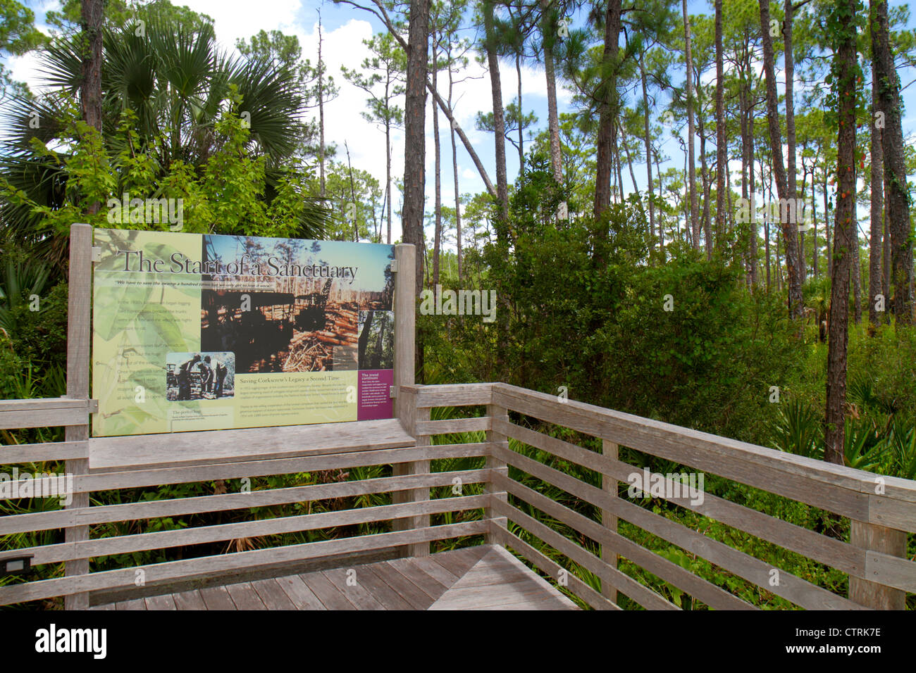 Naples Florida,Everglades,Corkscrew Swamp Sanctuary & Blair Audubon ...