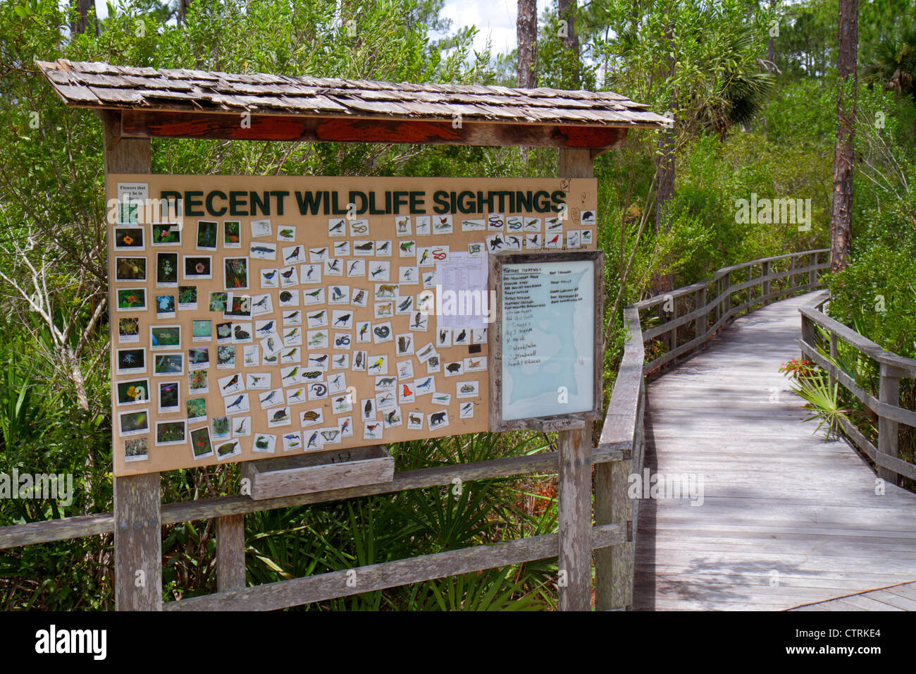 Naples Florida,Everglades,Corkscrew Swamp Sanctuary & Blair Audubon ...