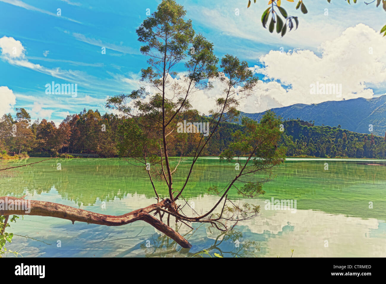 Volcanic lake Telaga Warna at plateau Dieng Stock Photo - Alamy