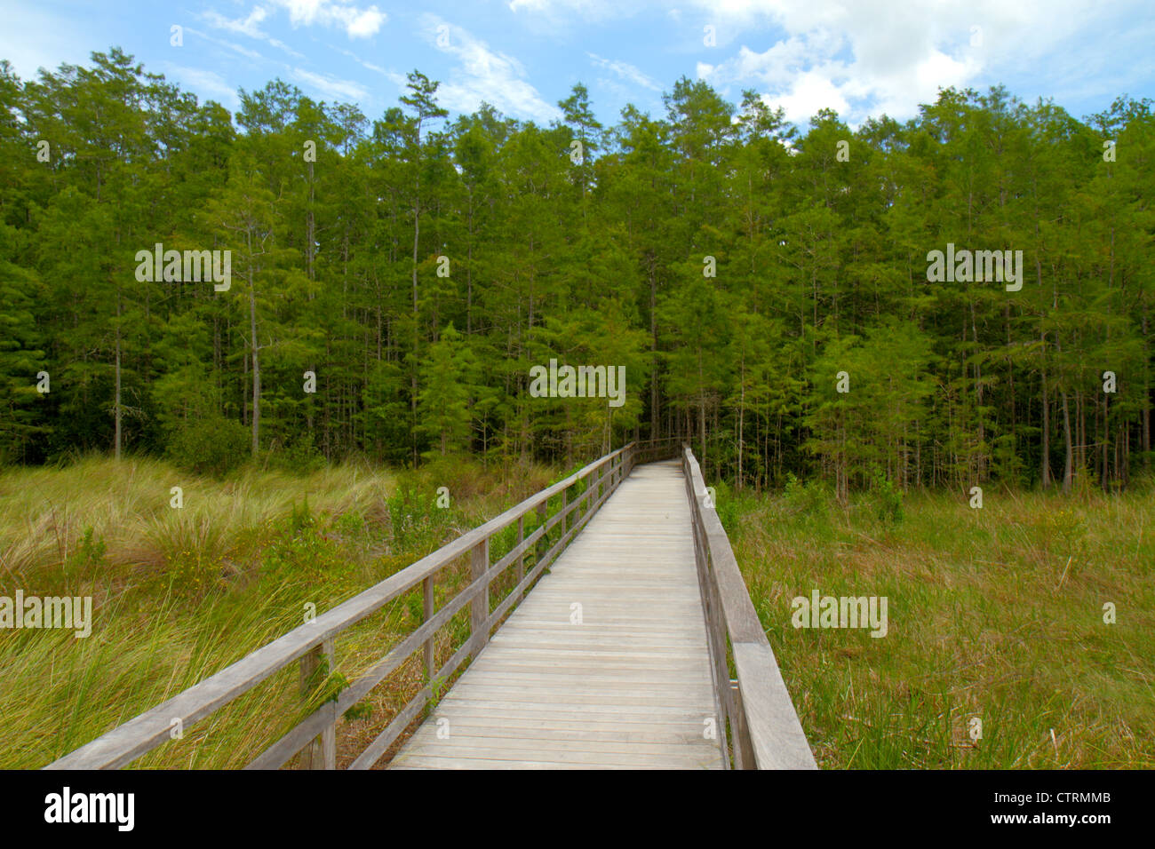 Naples Florida,Everglades,Corkscrew Swamp Sanctuary & Blair Audubon ...