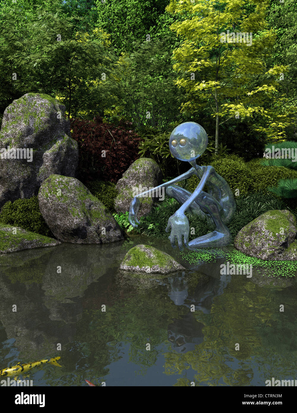 Rock pool illustration hi-res stock photography and images - Alamy