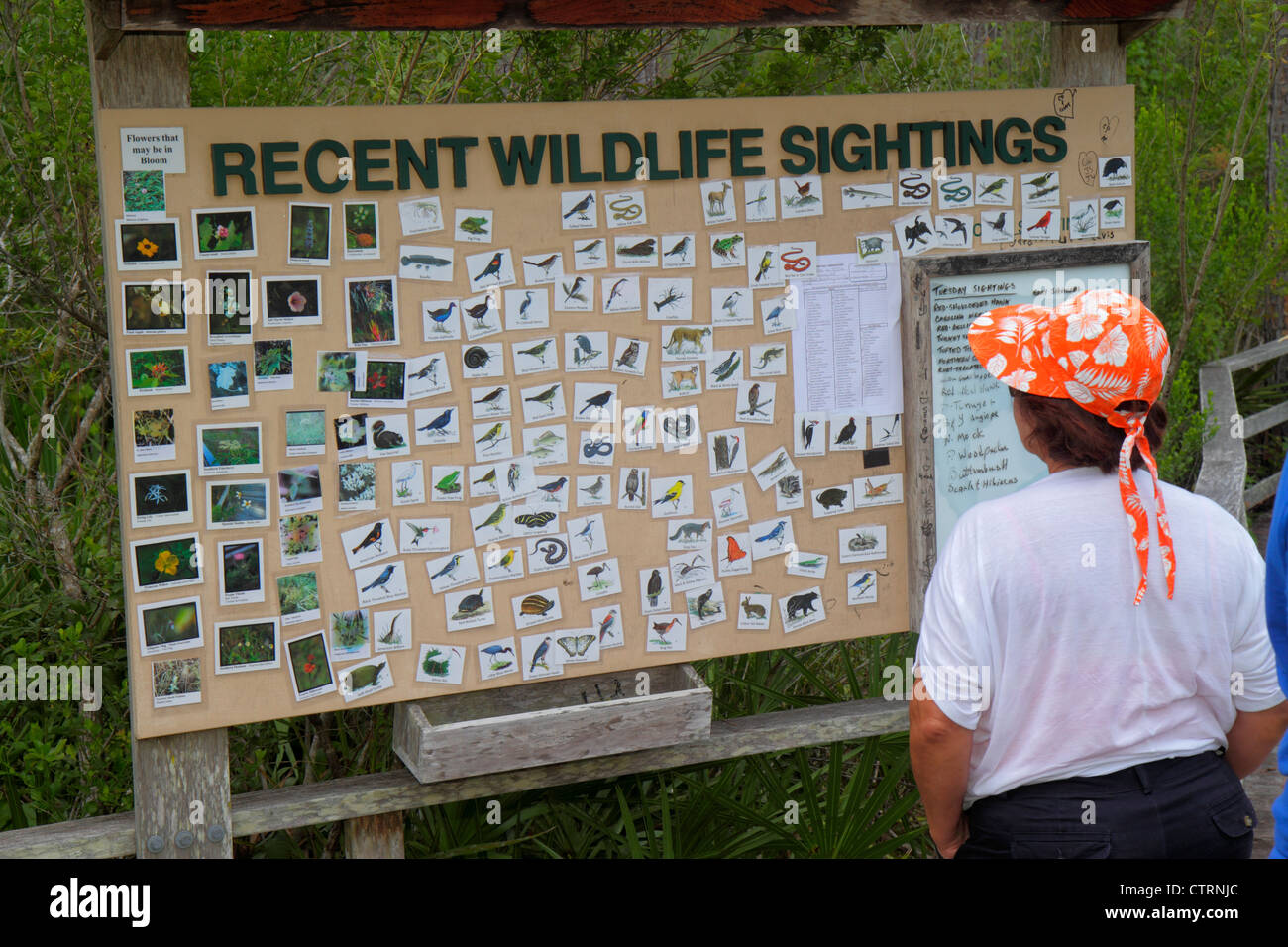 Naples Florida,Everglades,Corkscrew Swamp Sanctuary & Blair Audubon ...