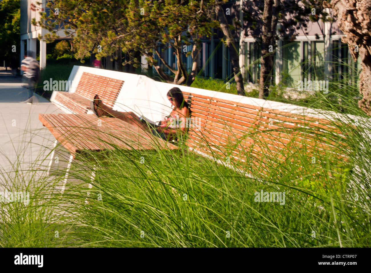 The Pavilion’S 50 Ft Span Consists Of A 7 In Thick Concrete Slab That ...