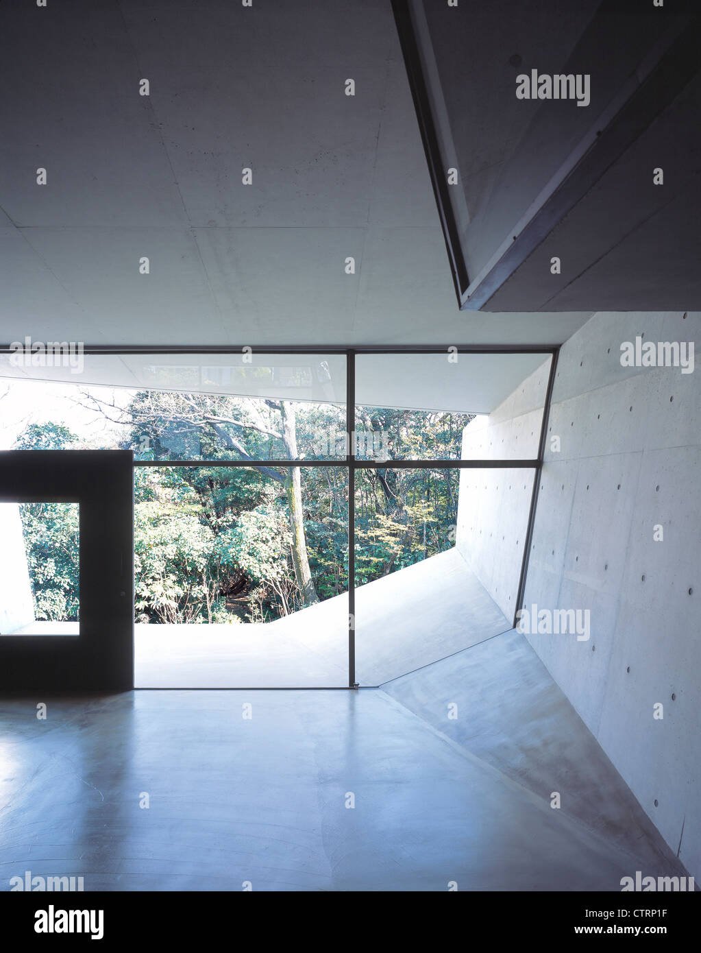 y house interior structural view Stock Photo - Alamy