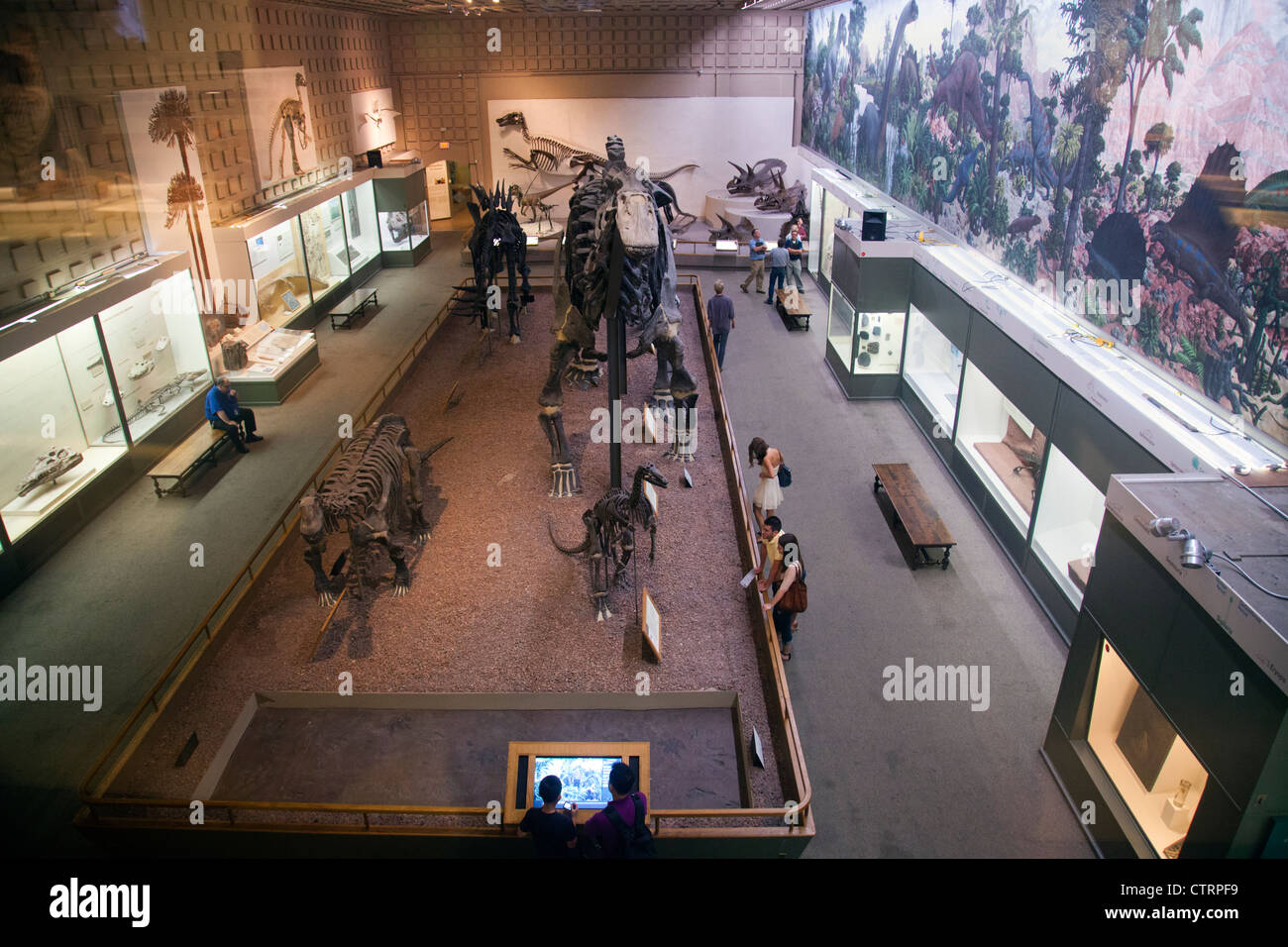 Peabody Museum of Natural History Yale University Stock Photo - Alamy