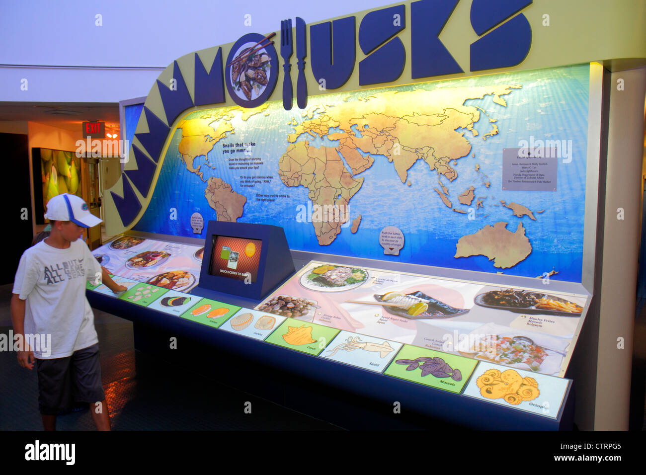 Sanibel Island Florida,Bailey Matthews Shell Museum,exhibit exhibition ...