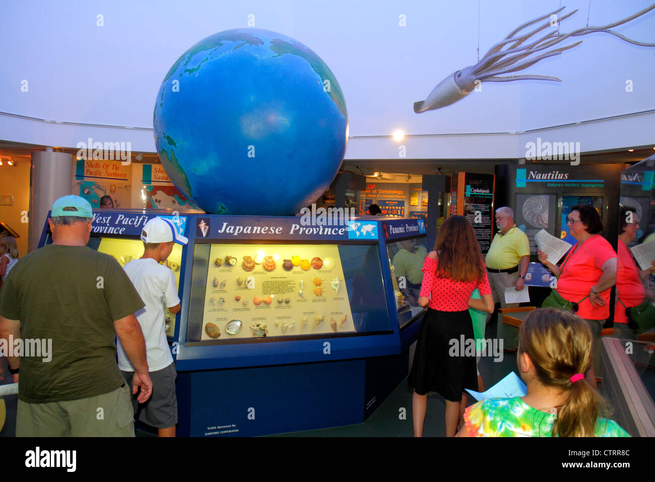 Sanibel Island Florida,Bailey Matthews Shell Museum,exhibit exhibition ...