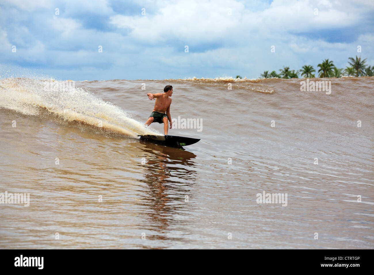 Australian surfer surfing a tidal river bore wave known locally as the ...