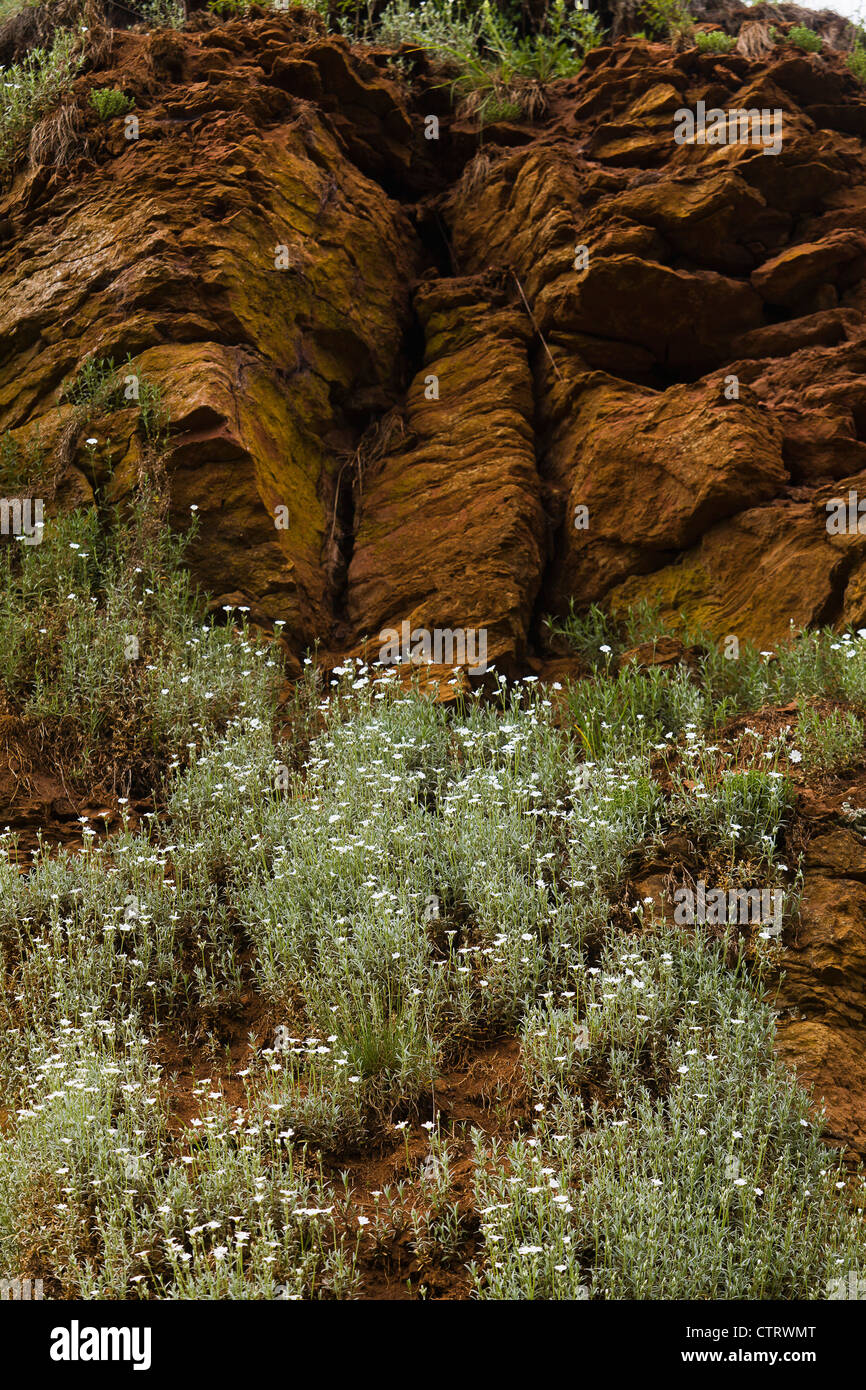 Minett luxembourg hi-res stock photography and images - Alamy