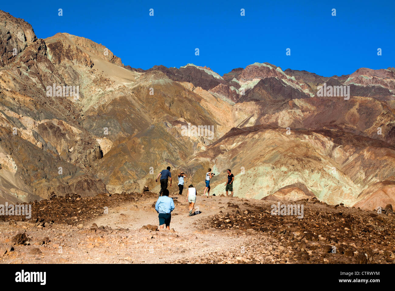 Artists drive with artists palette hi-res stock photography and images ...