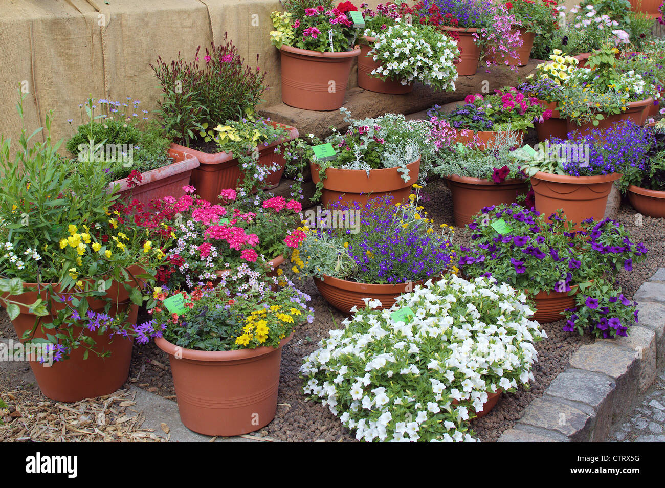Botanical garden display hi-res stock photography and images - Alamy