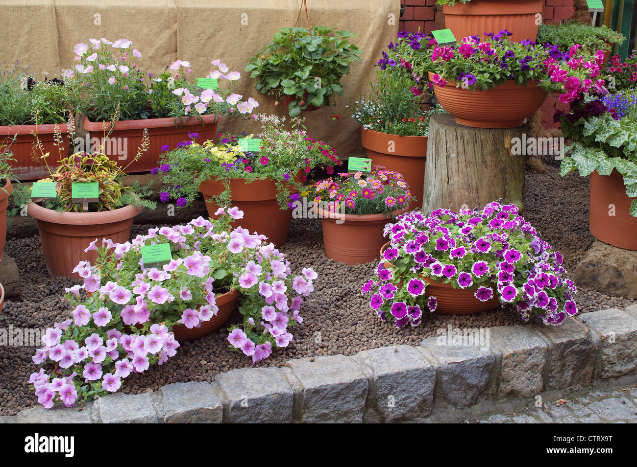 Botanical garden display hi-res stock photography and images - Alamy
