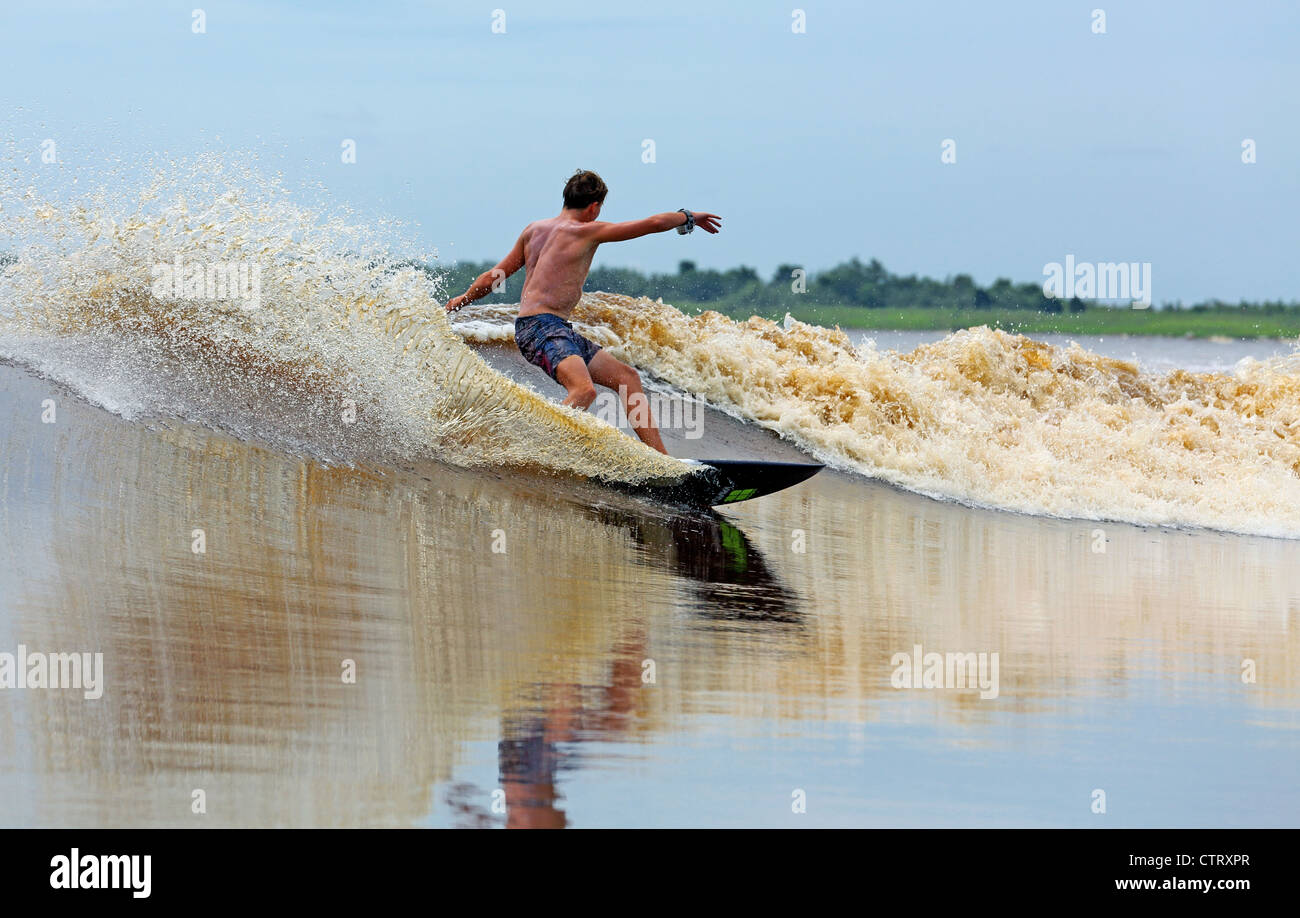 Australian surfer surfing a tidal river bore wave known locally as the ...