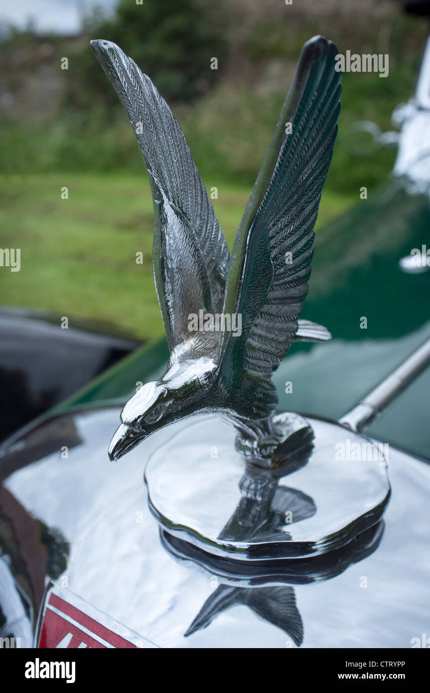 Radiator Mascot on Classic Alvis Car Stock Photo - Alamy