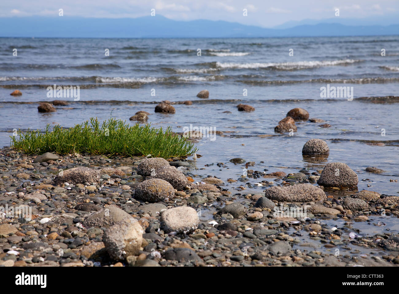 Rathtrevor Beach in Parksville, BC with mountains in the distance and ...