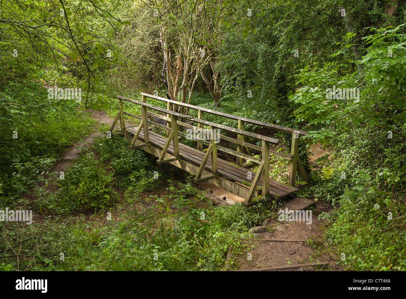 Foot bridge crossing hi-res stock photography and images - Alamy