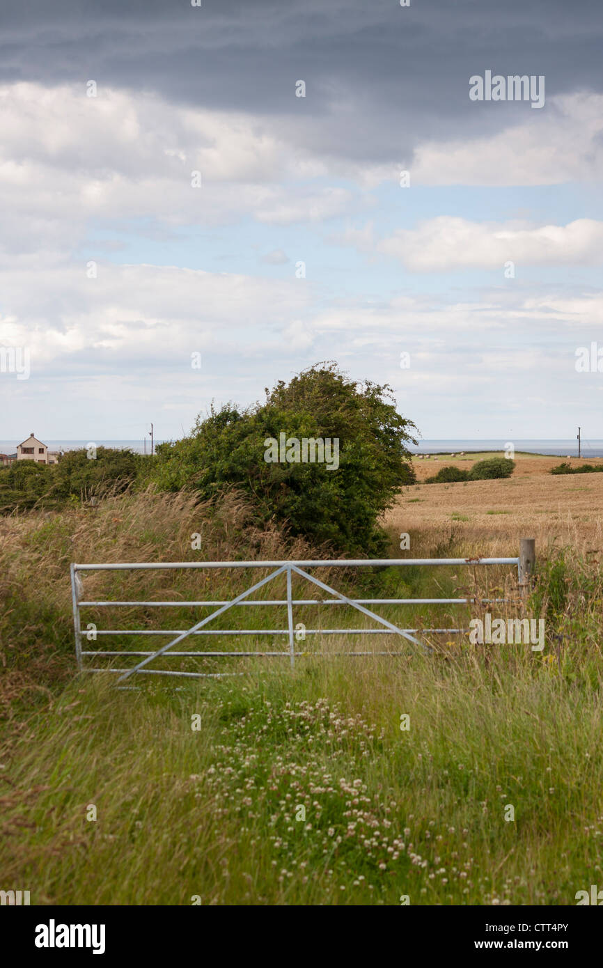 Steel farm gate hi-res stock photography and images - Alamy