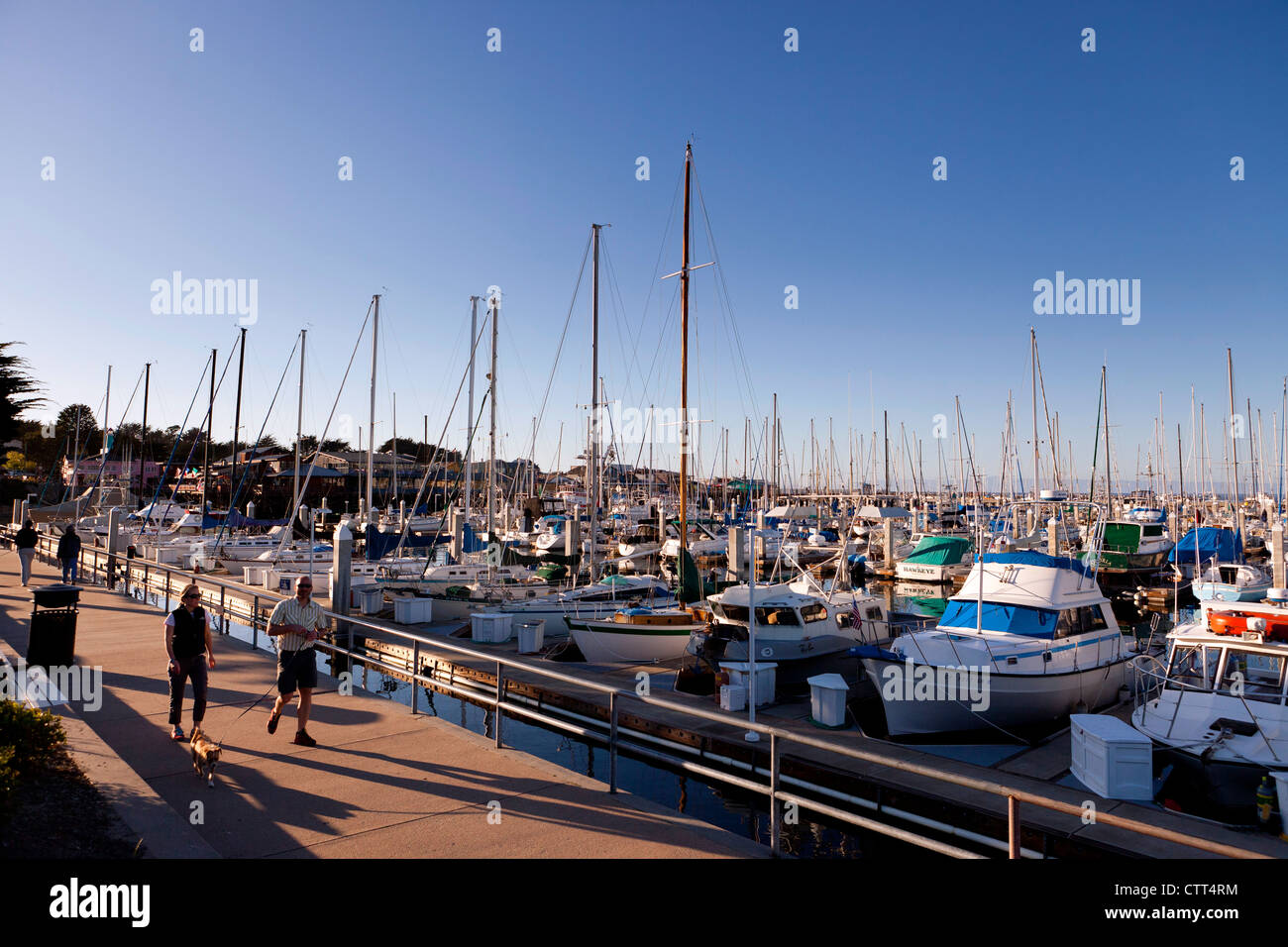 Monterey Marina, California Stock Photo - Alamy