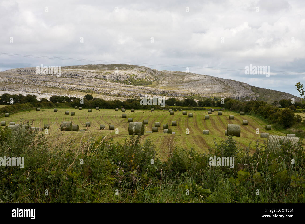 The burren area hi-res stock photography and images - Alamy