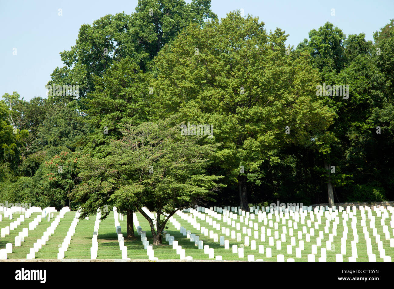 Field of Graves Stock Photo - Alamy
