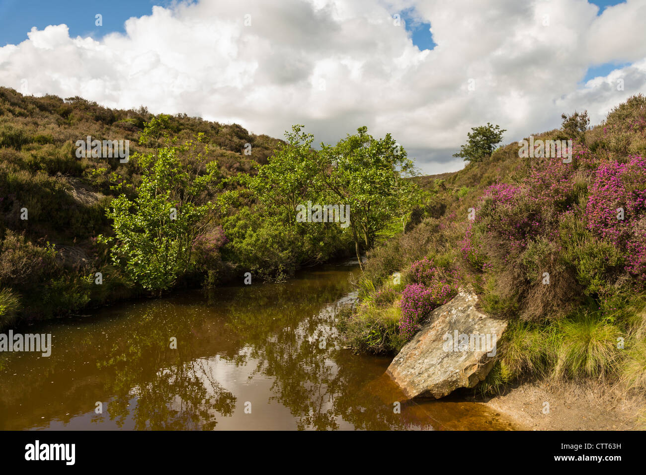 Heather & stream on the North York Moor near Hutton le Hole Stock Photo ...
