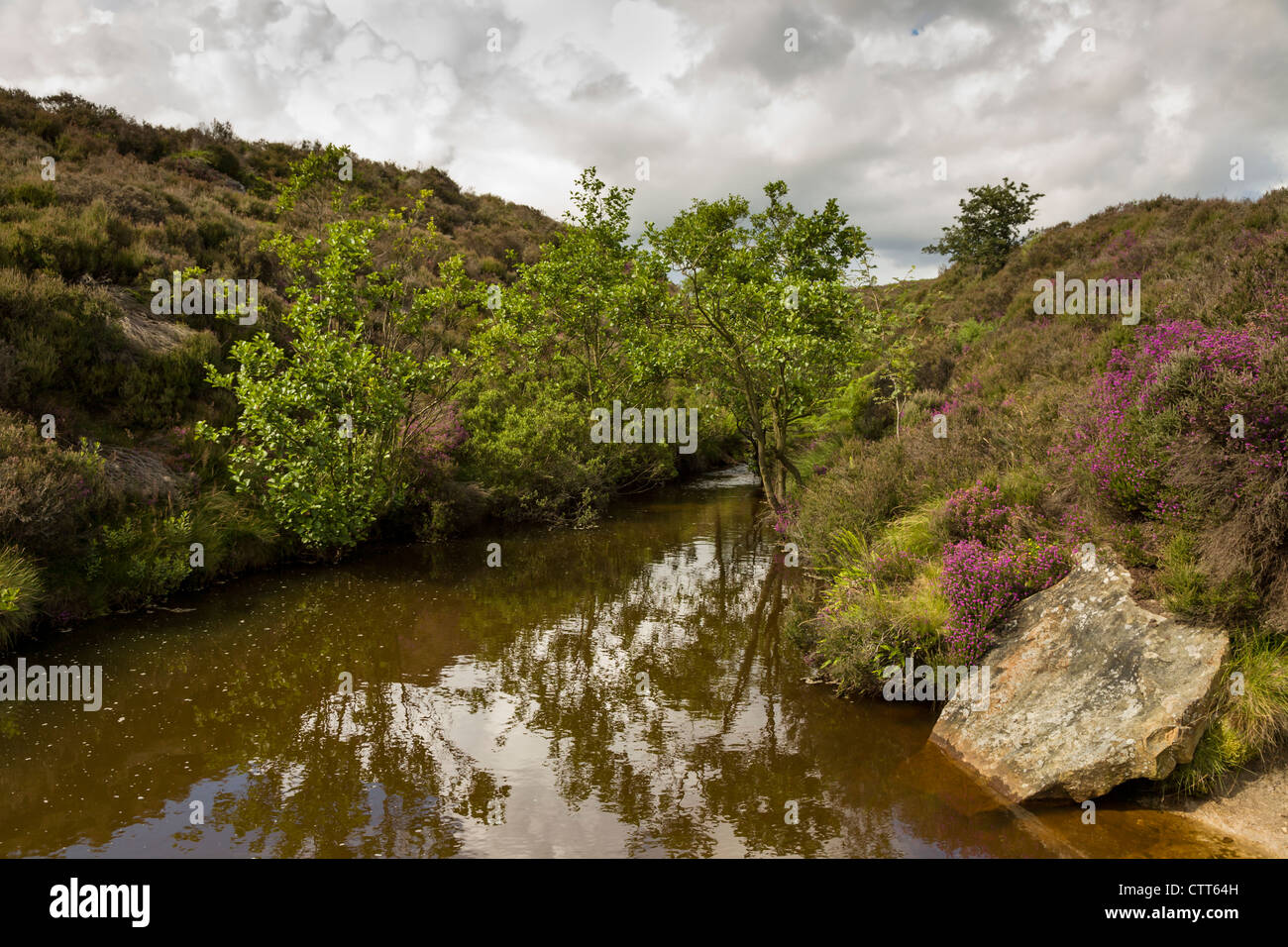 Heather & stream on the North York Moor near Hutton le Hole Stock Photo ...