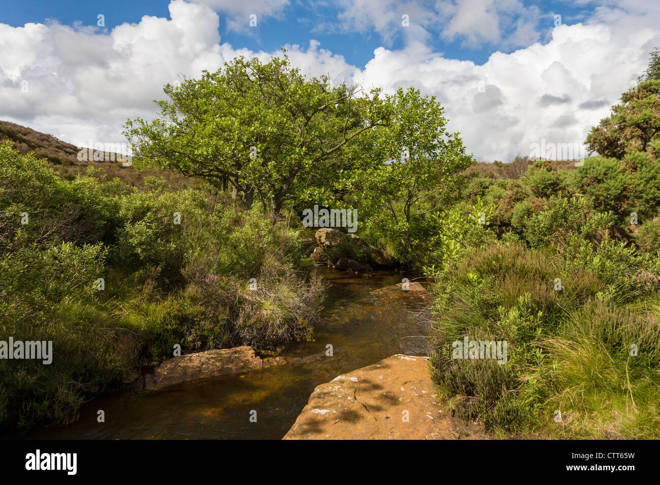 North york moor hi-res stock photography and images - Alamy