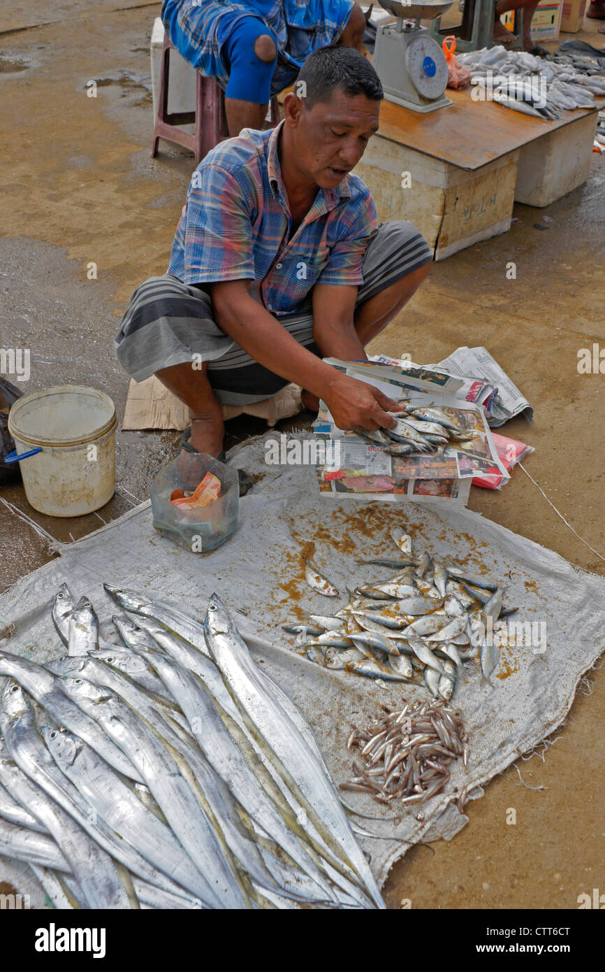 Fisherman selling fish in market, Hambantota, Sri Lanka Stock Photo - Alamy