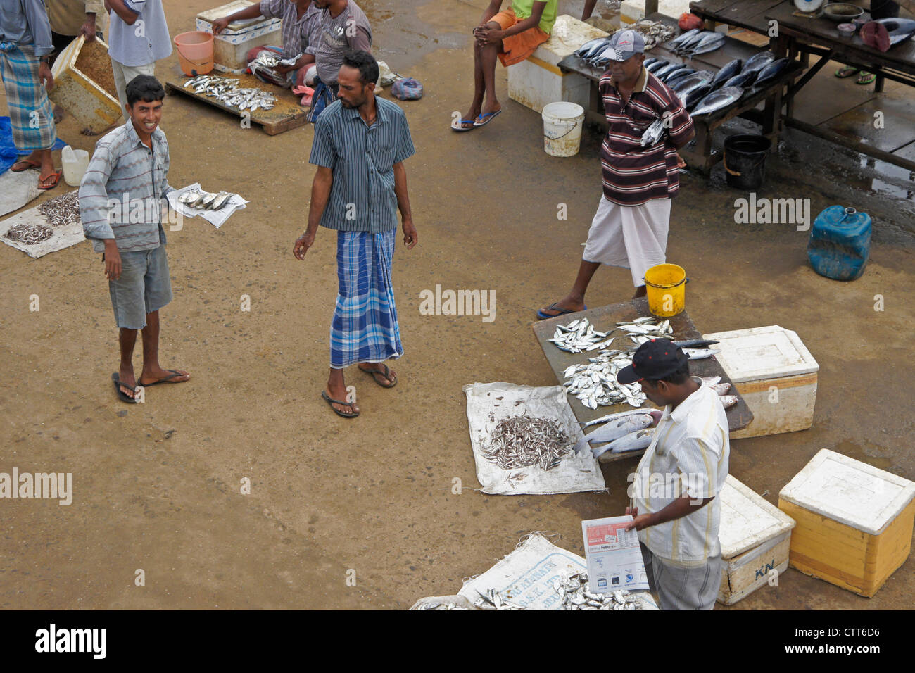 Fishermen selling fish in market, Hambantota, Sri Lanka Stock Photo - Alamy