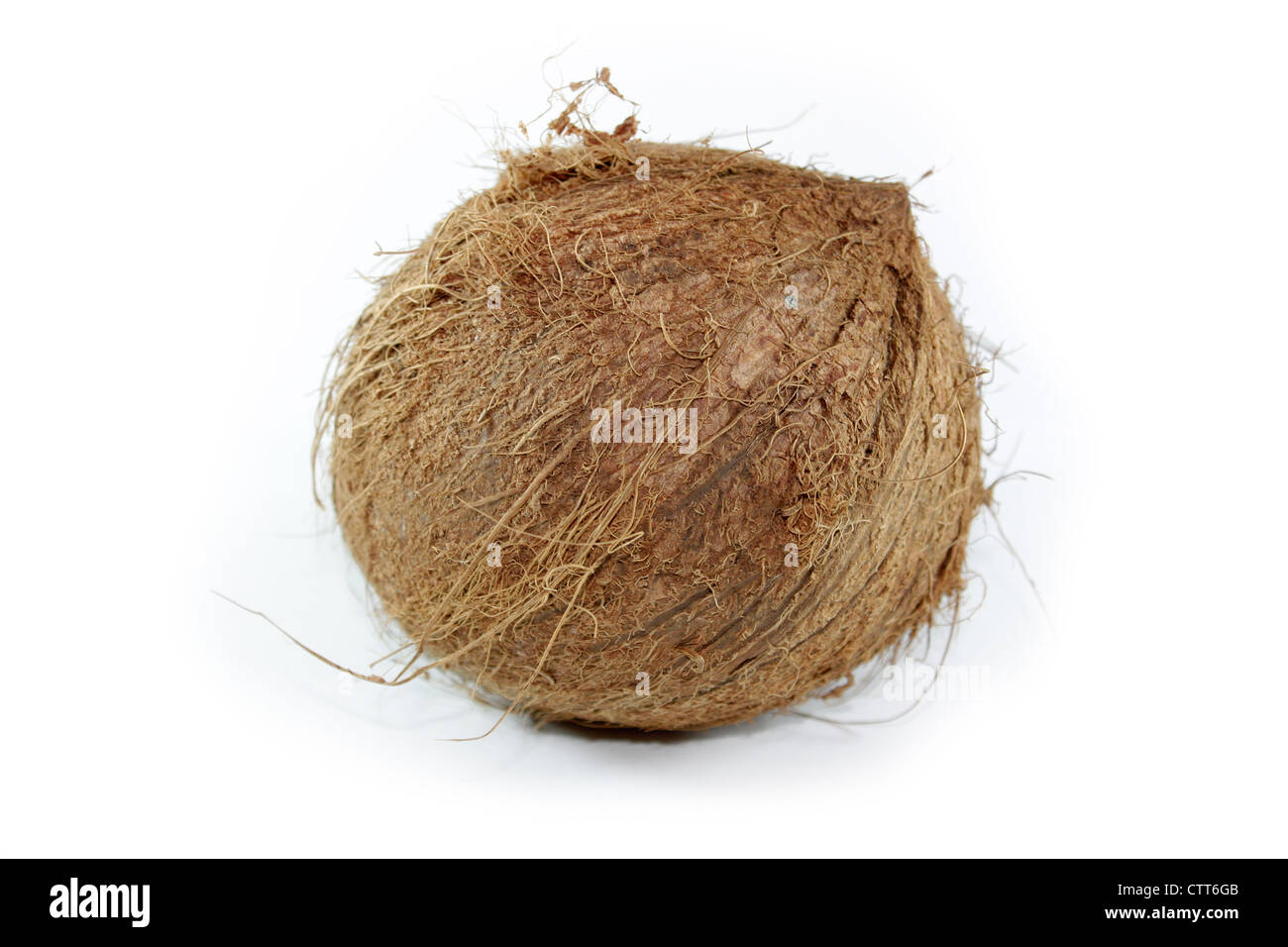 Raw coconut on its shell, isolated on white Stock Photo - Alamy
