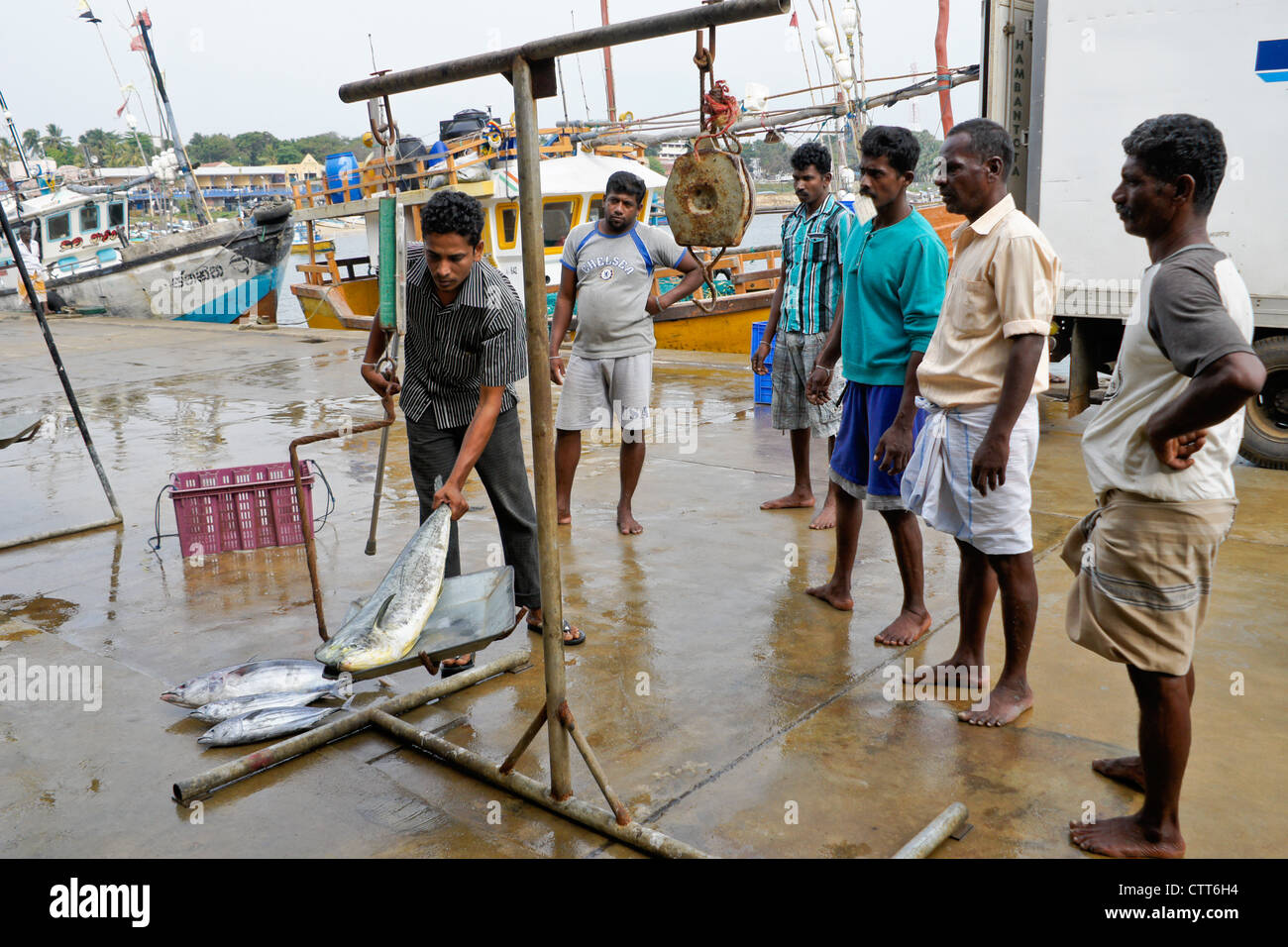 Weighing fish hi-res stock photography and images - Alamy