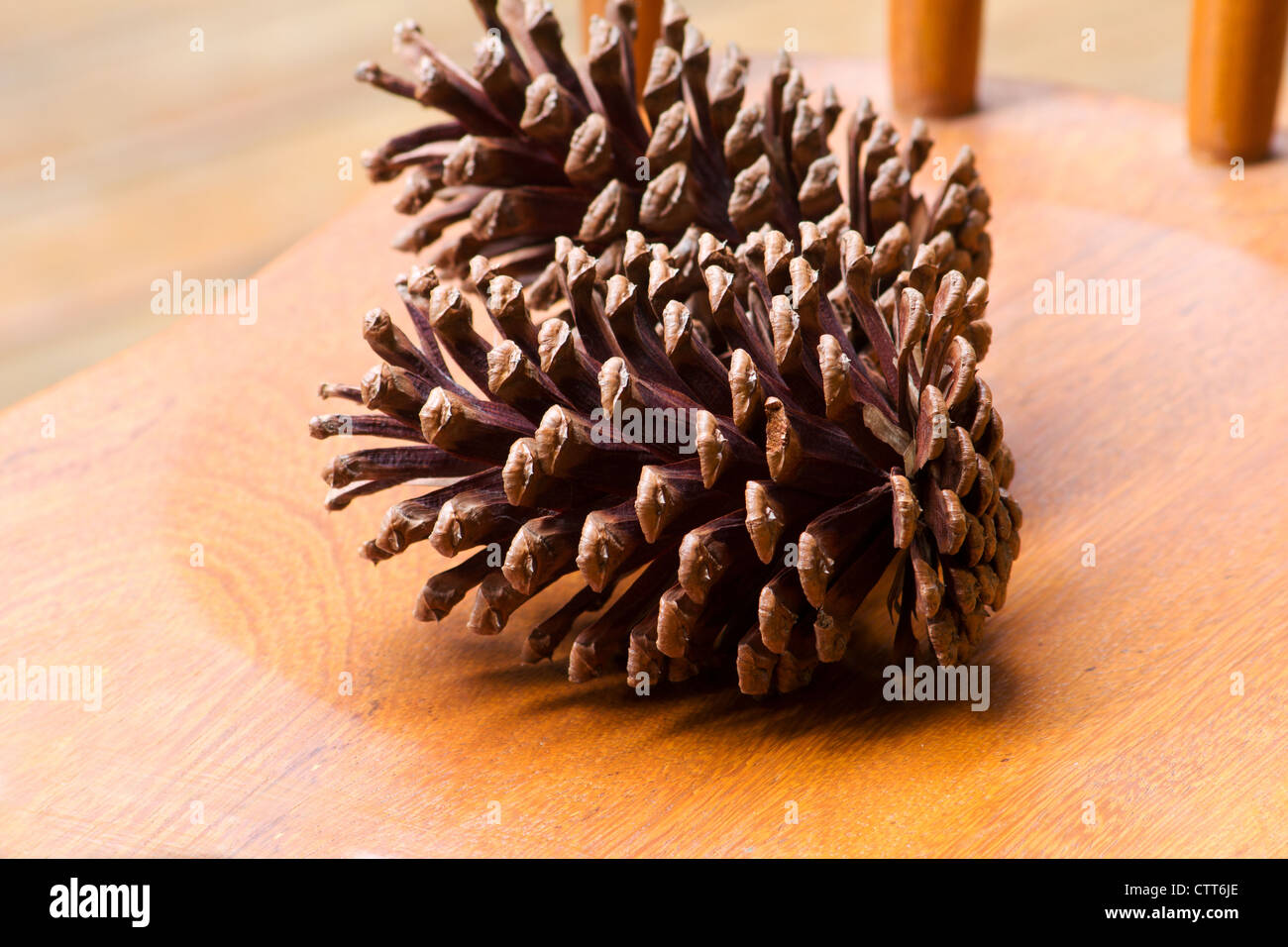 Pine cones on a chair Stock Photo - Alamy