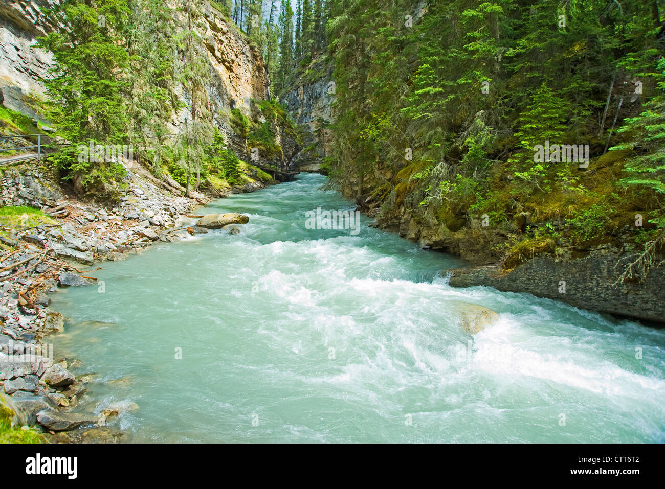 Johnston Creek Banff National Park fast moving stream water Stock Photo ...