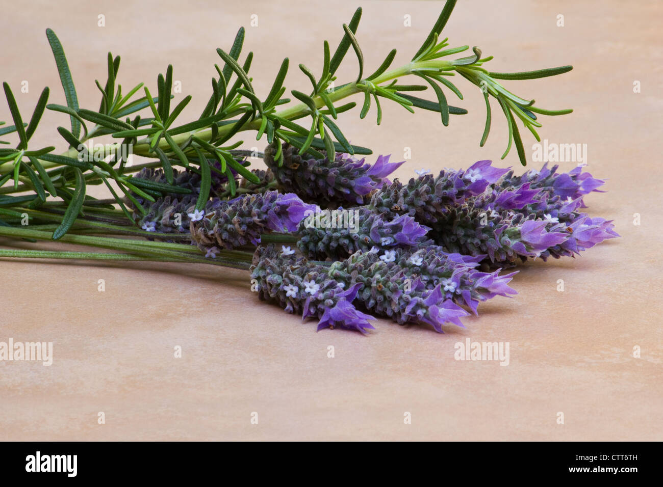 Rosemary garden lavender hi-res stock photography and images - Alamy