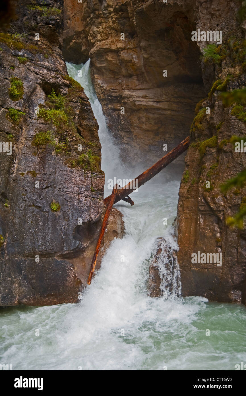 Johnston Creek Banff National Park fast moving stream water waterfall ...