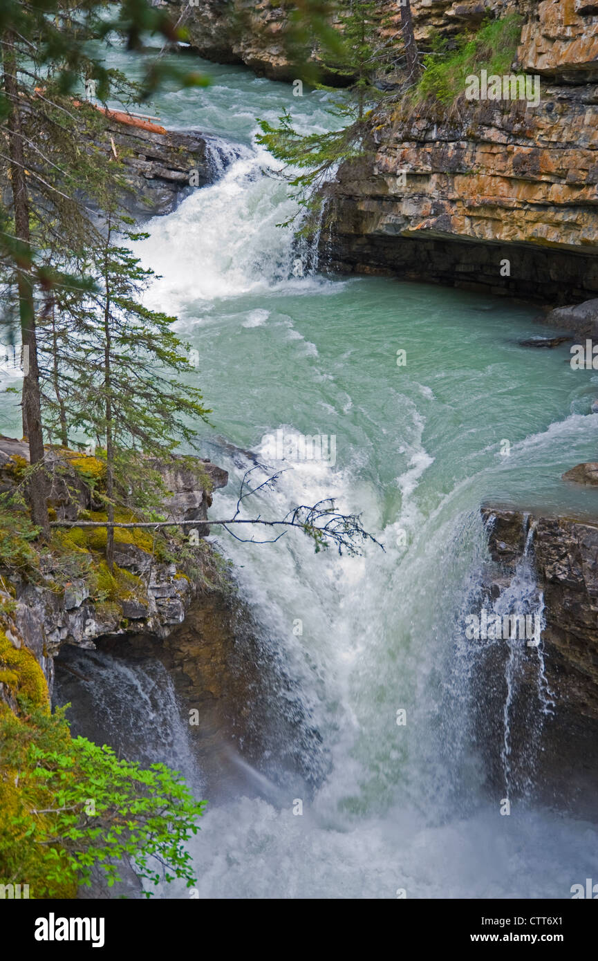 Johnston Creek Banff National Park fast moving stream water waterfall ...