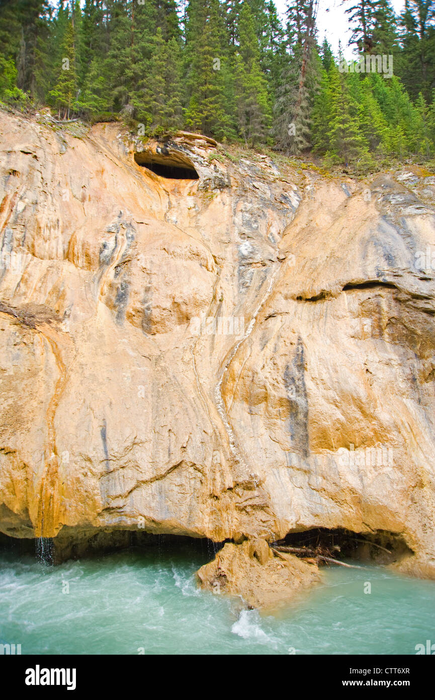 Johnston Creek Banff National Park fast moving stream water Stock Photo ...