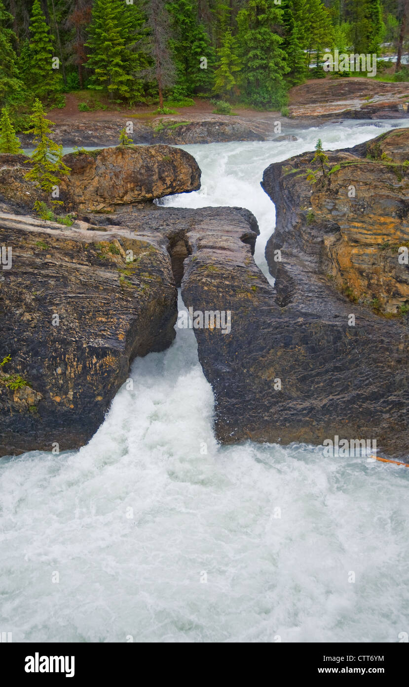Natural bridge at Amiskwi river Yoho National Park Alberta Canada Stock ...