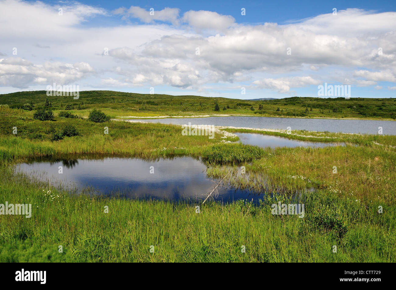 Arctic summer landscape hi-res stock photography and images - Alamy