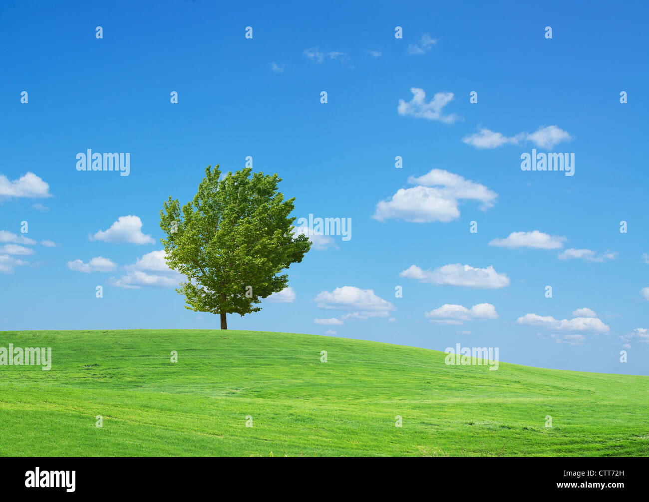 Grass and trees in the background of blue sky and white clouds Stock ...