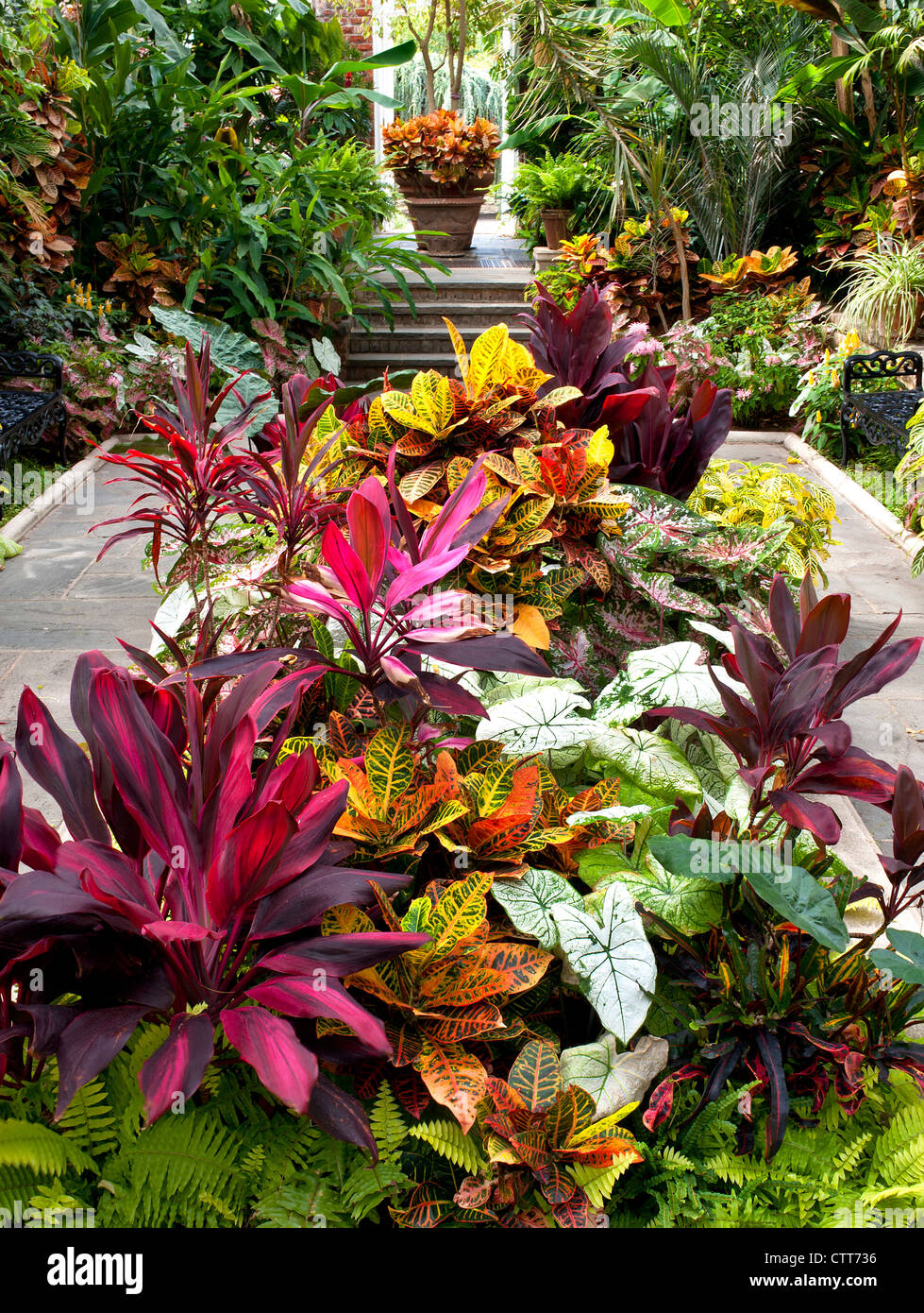 Arboretum flowers hi-res stock photography and images - Alamy